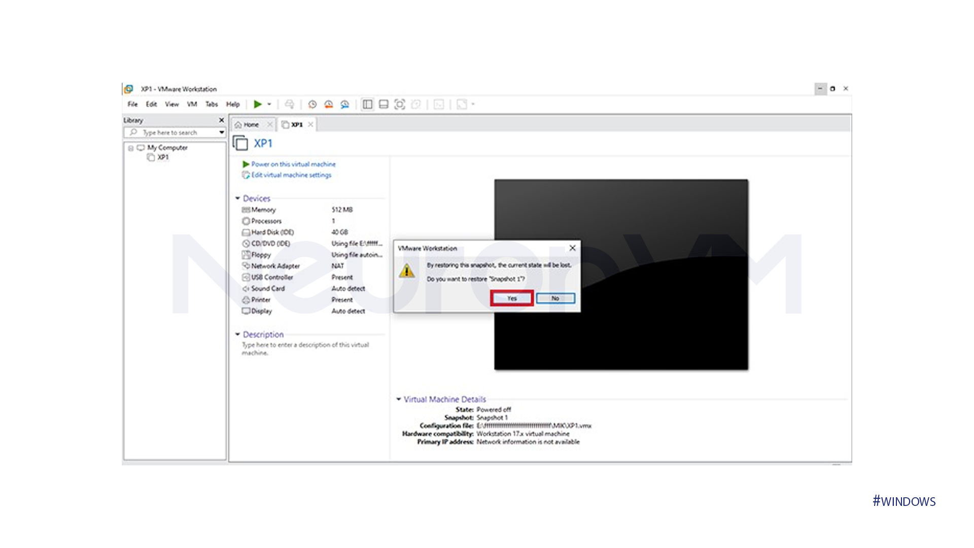 How to Restore Netapp snapshot in VMware